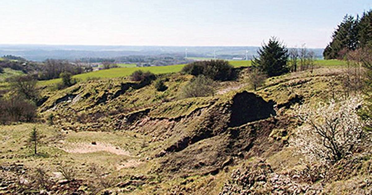 På toppen af Favrskov - Din Avis