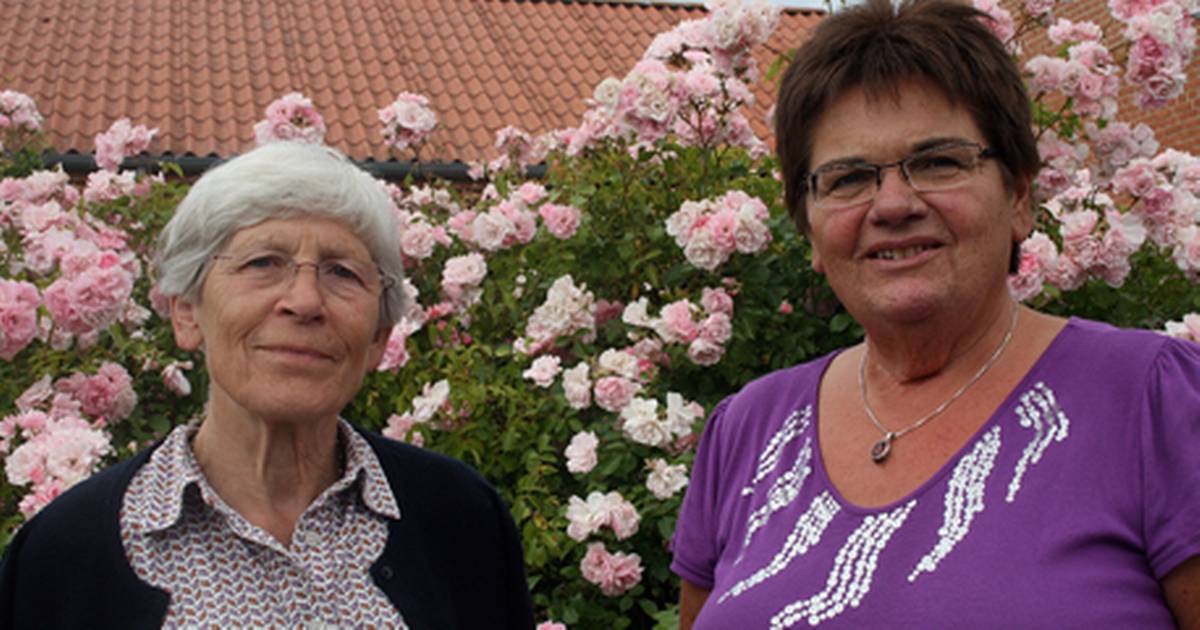 De våger hos de døende - Din Avis