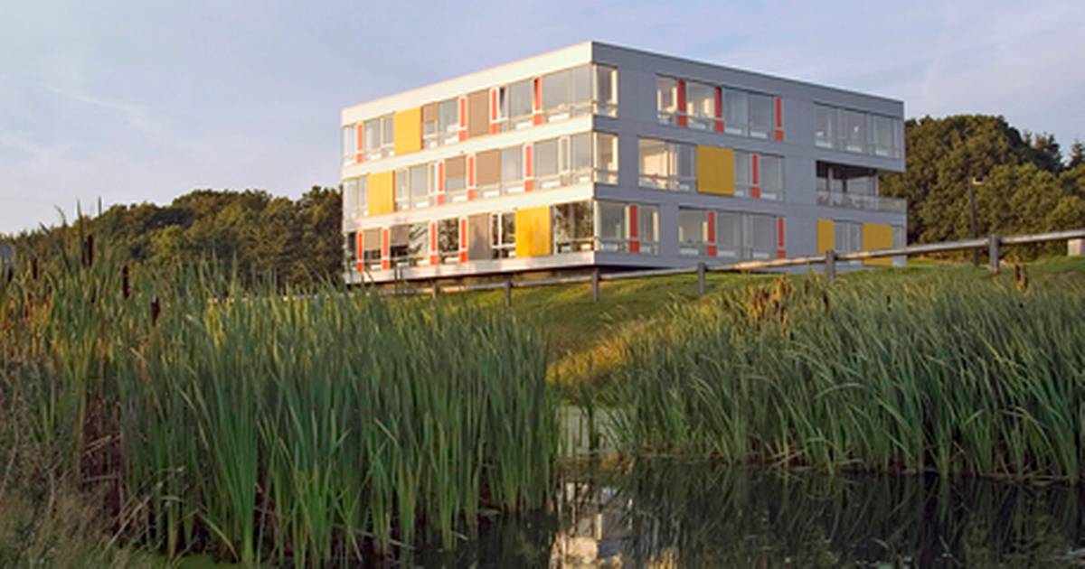 Et lokalt hotspot - Din Avis