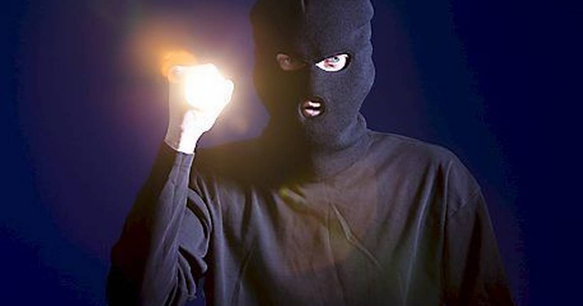 Hamrede løs med flækøkse på butik - Din Avis