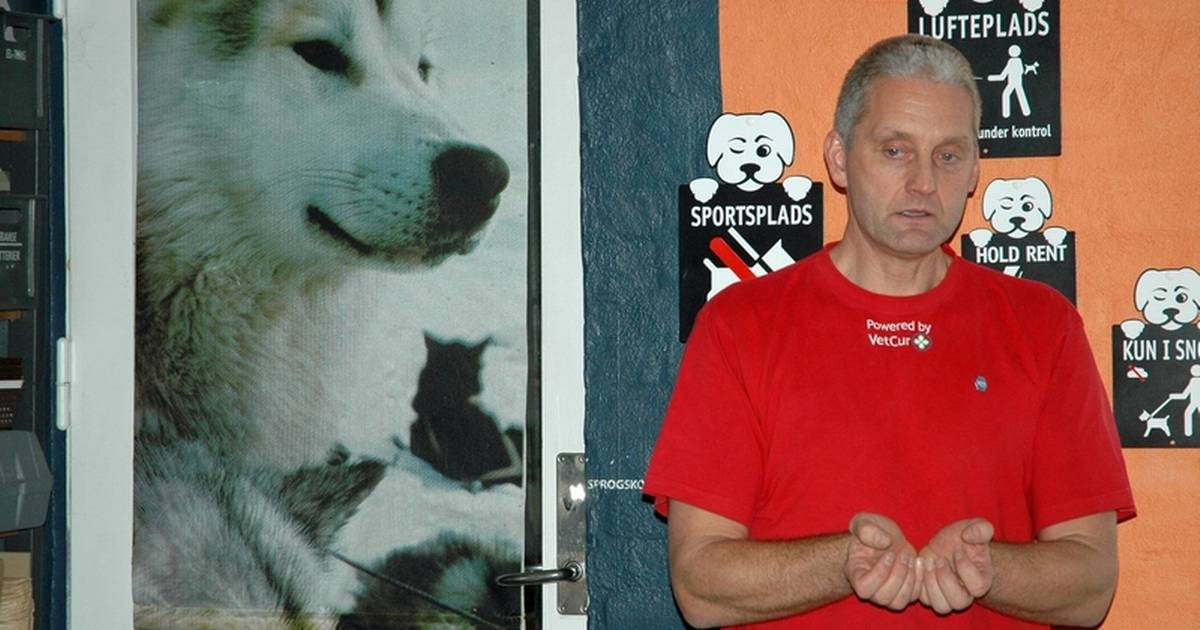 Hunde spiser pizza - Din Avis