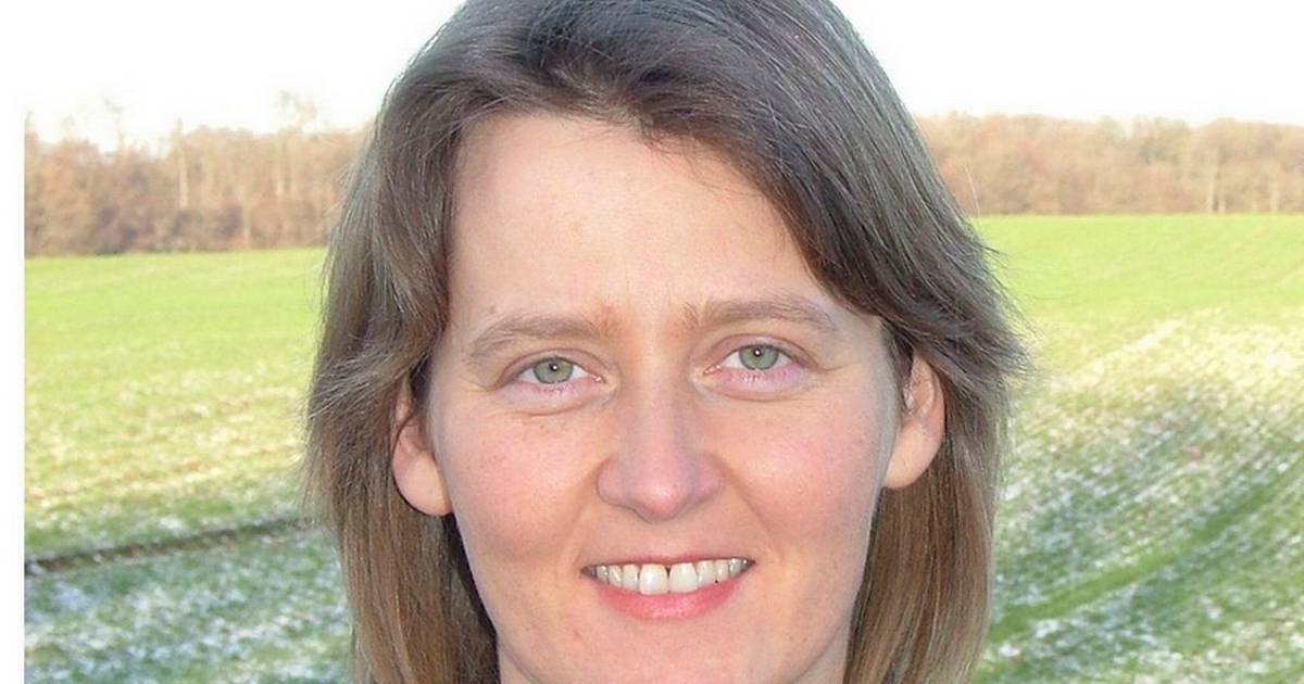 Klar til at provokere - ikke mindst Undervisningsministeren - Din Avis