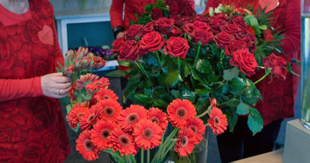 Hornslet blomstrer til Open by Night - Din Avis