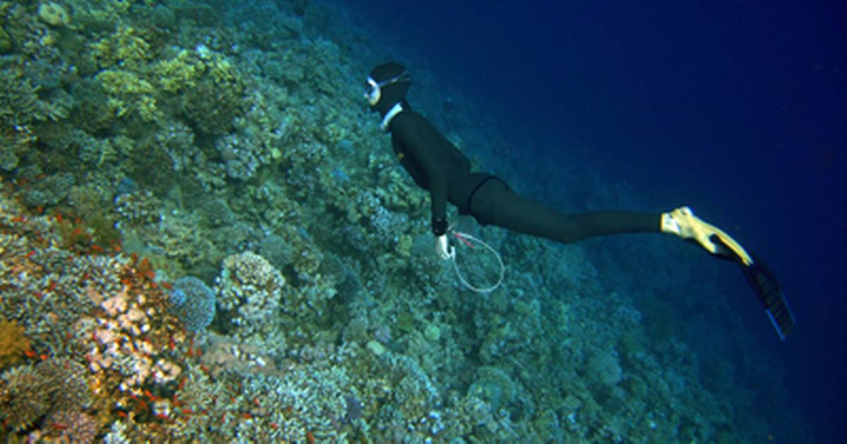 Rune Hallum slog Danmarksrekord i fridykning - Din Avis