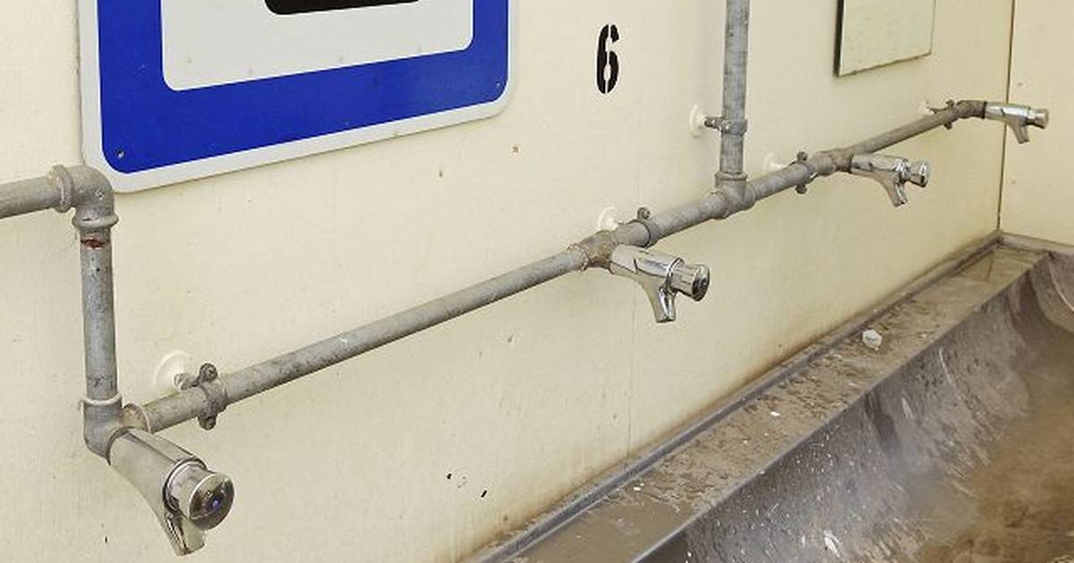 Dyrskuepladsen må klare sig med gamle toiletter - Din Avis