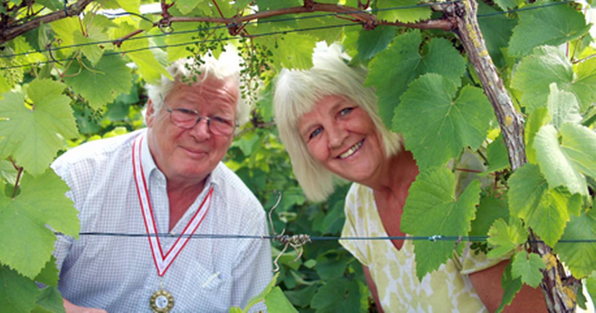 Årets bedste rødvin kommer fra Brabrand Valley - Din Avis