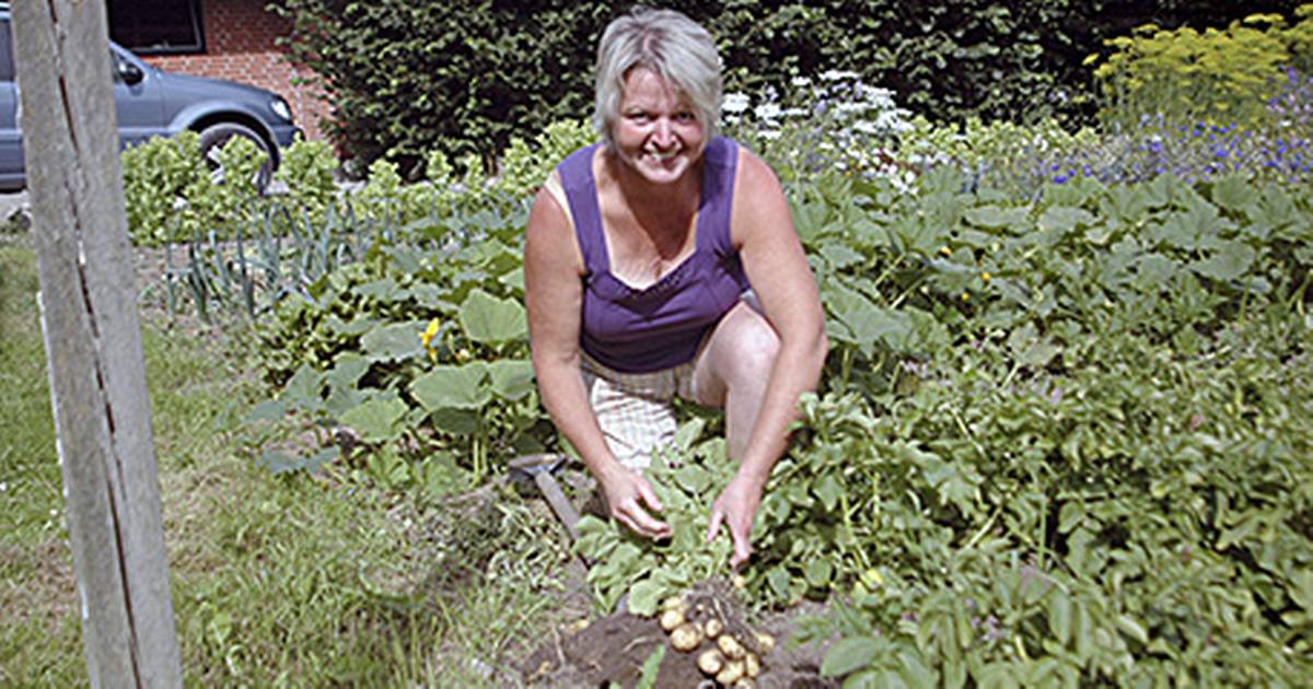 Køkkenhaven følger med tiden i Hadbjerg - Din Avis