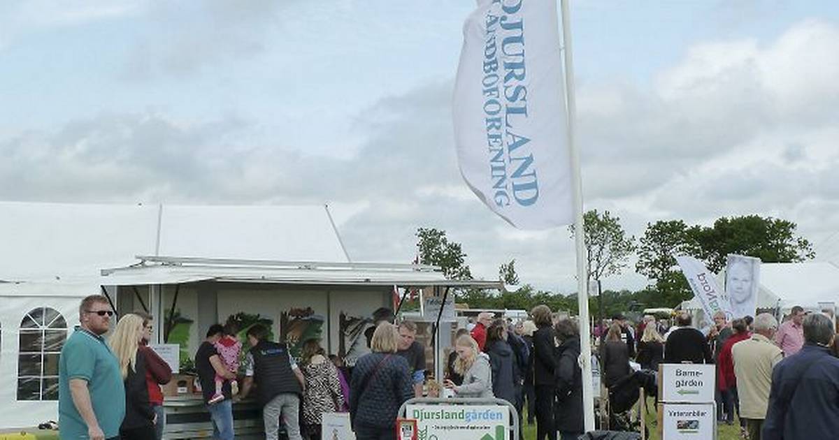Landbrugsmessen på Gl. Estrup bliver mere vild i år - Din Avis