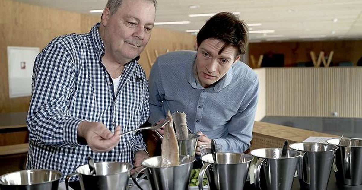 Her er påskens bedste dildsild - Din Avis