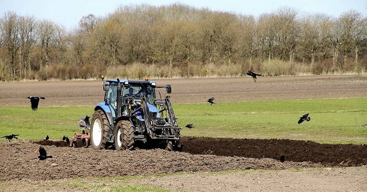 Er Danmarks stadig et landbrugsland? - Din Avis