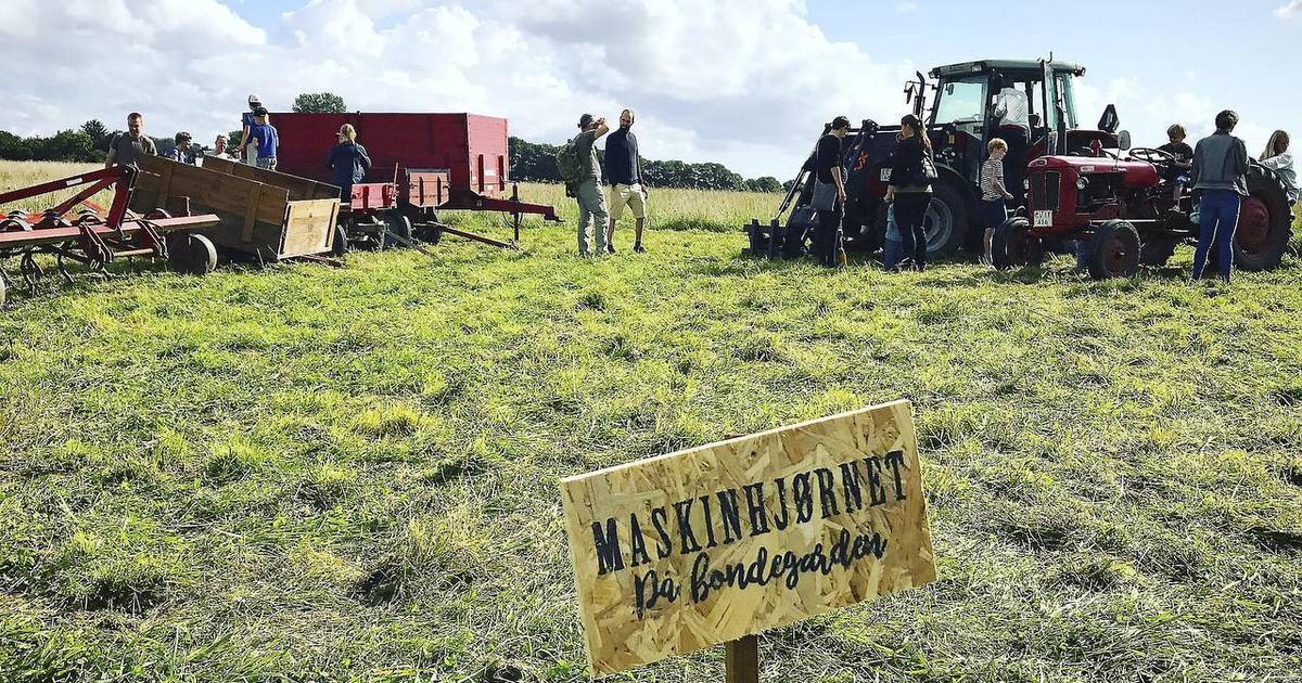 Aarhus N-bondegård inviterer til æggefestival - Din Avis