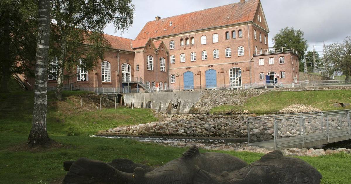 4. klasser fra Favrskov skal 'kende dit land' - Din Avis