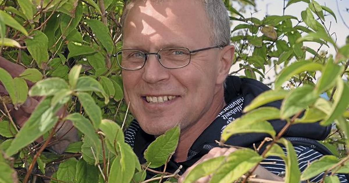 Et løb med prinsesser og hele svineriet - Din Avis