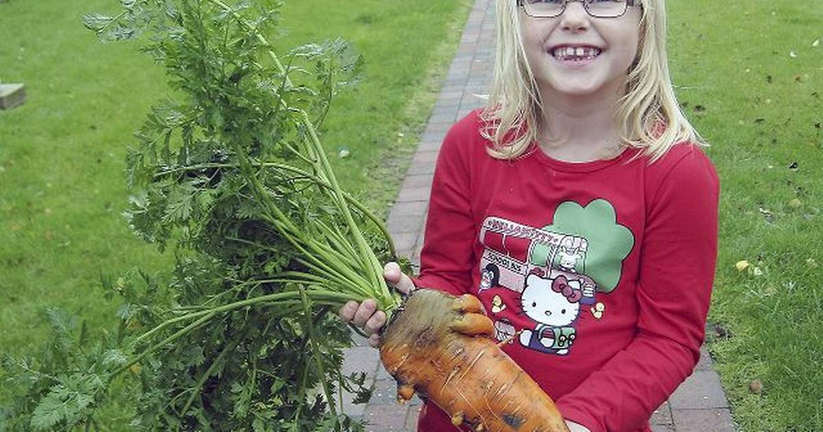 Gulerodspigen fik assistance - Din Avis