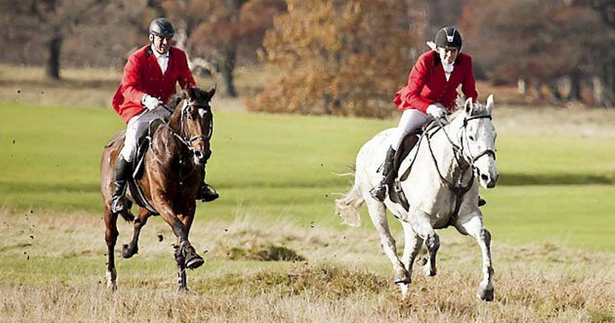 Ganløse-familie igen klar til Hubertus-jagt - Din Avis