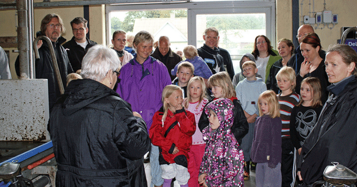 En ko siger muh til hele lortet - Din Avis