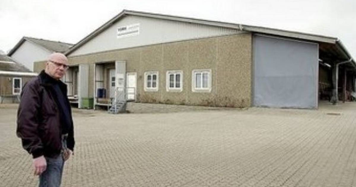 York Auktioner – Effektiv markedsplads for sælger og køber! - Din Avis