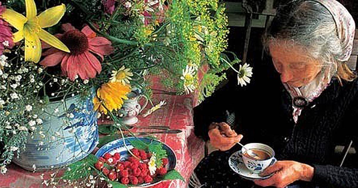 Frodig og fabelagtig - nyd Tasha Tudors have - Din Avis