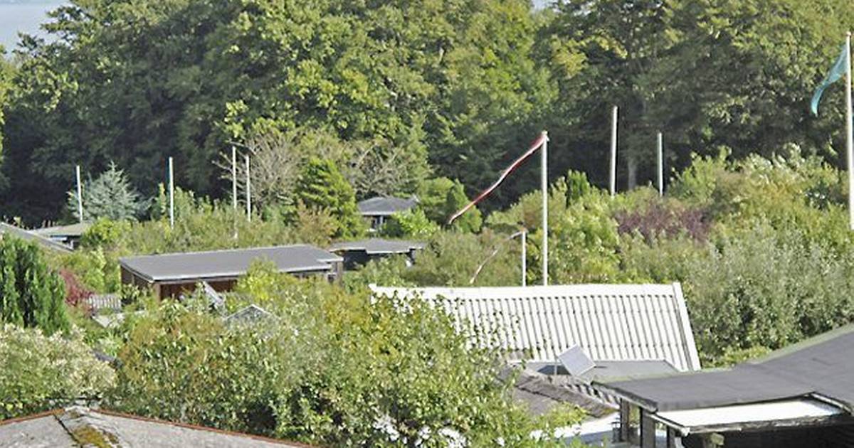 Ventelister blomstrer - Din Avis