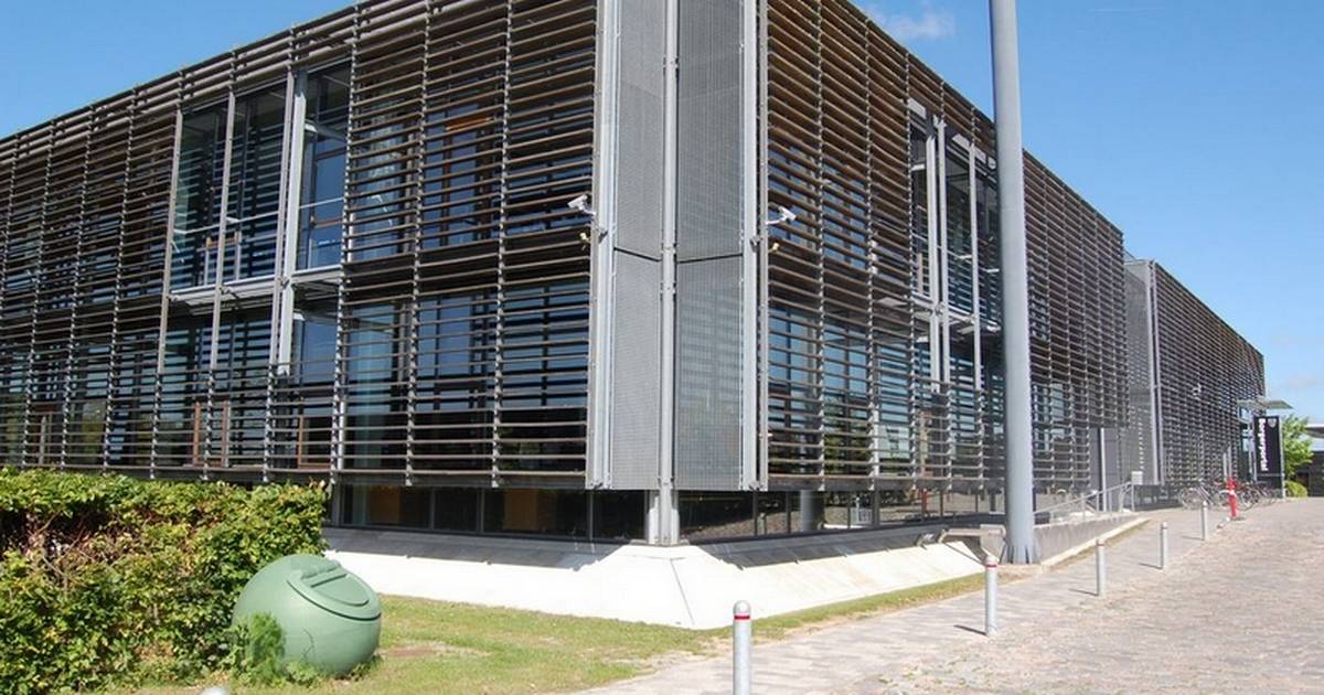 Rådhus ribbet for dyre designer-stole