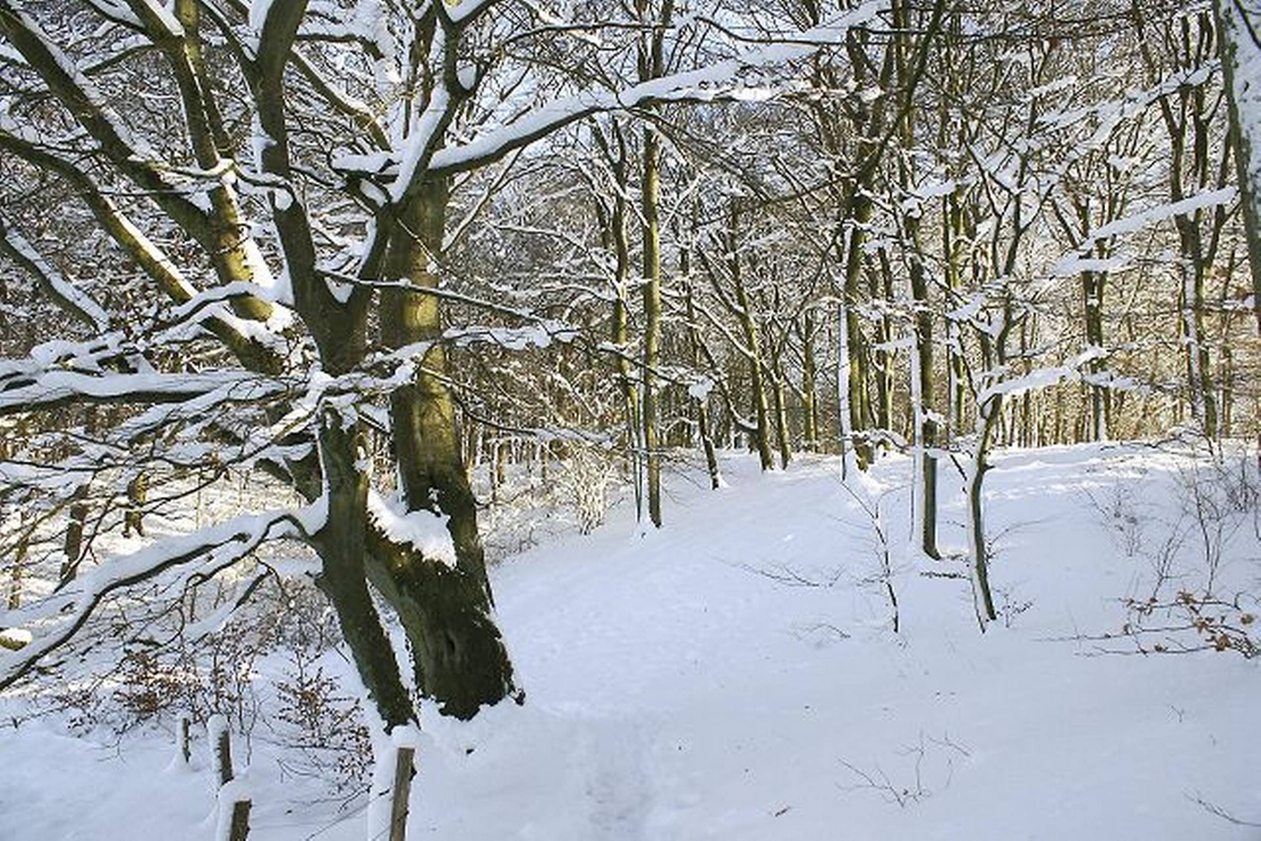 Flere vinterfotos fra vores læsere - Din Avis