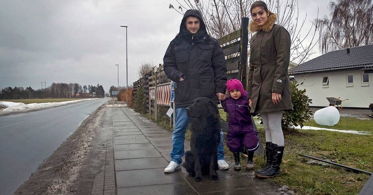 Biler brager ind i haven hos familien Polats - Din Avis