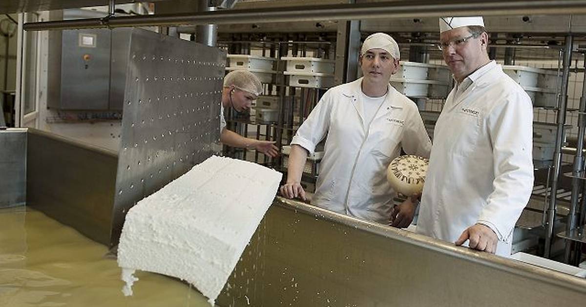 Michelin-kokkene og fru Jensen får mælk fra Tinglev - Din Avis