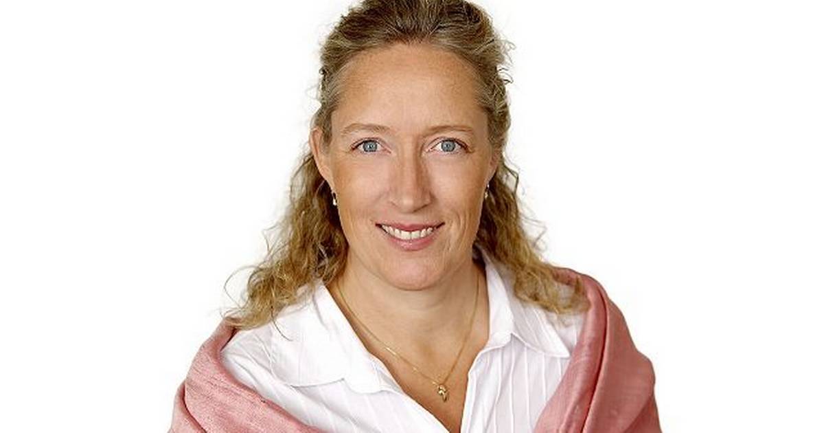 Skal vi tage en bobestyrer? - Din Avis