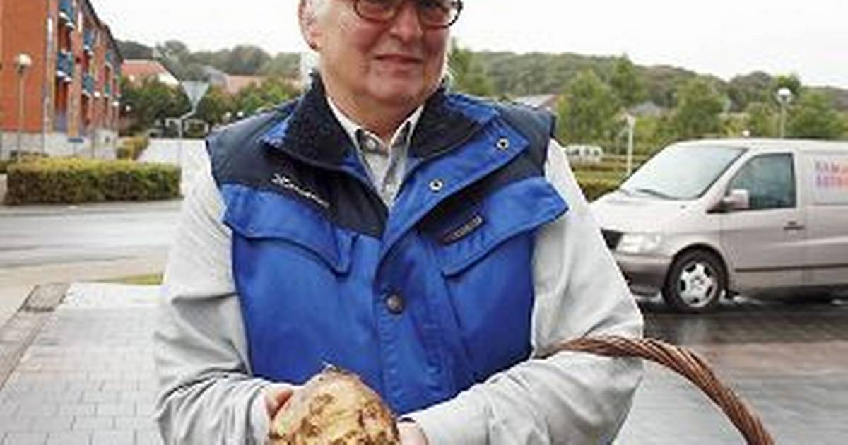 Jeg kalder mig "Sundhedshåndværker" - Din Avis