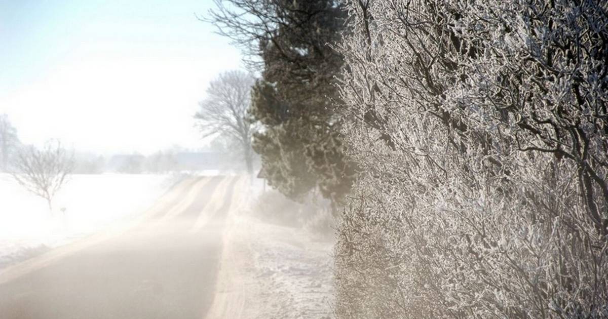 Glatføre ved Randers og på Djursland - Din Avis