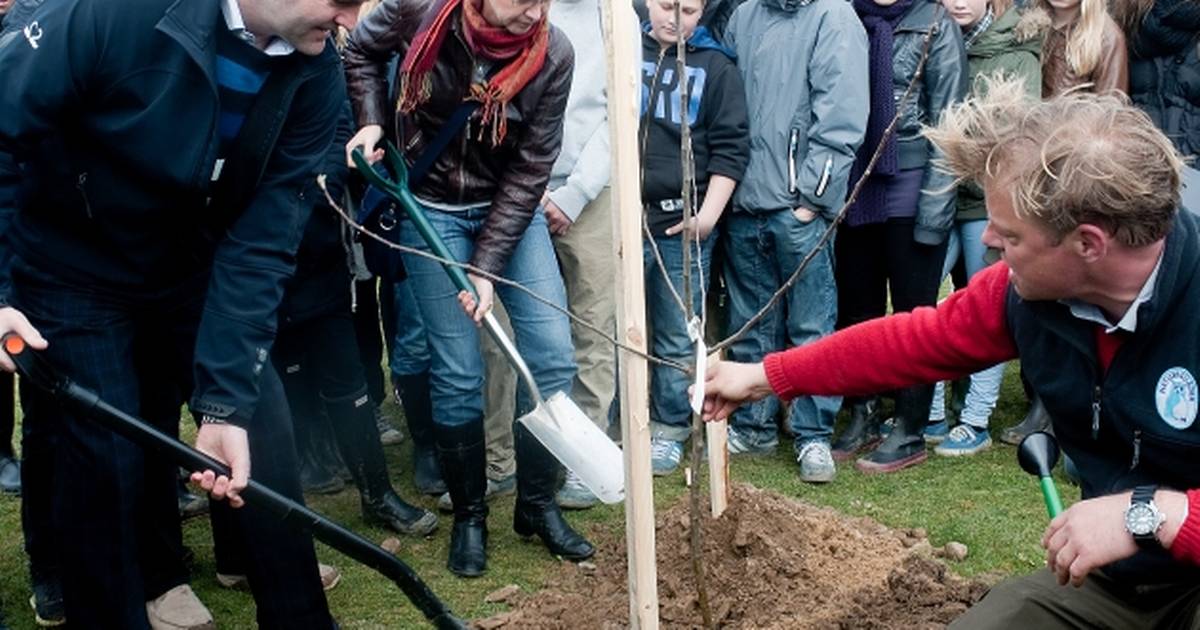 Frugtplantage i skolegården - Din Avis
