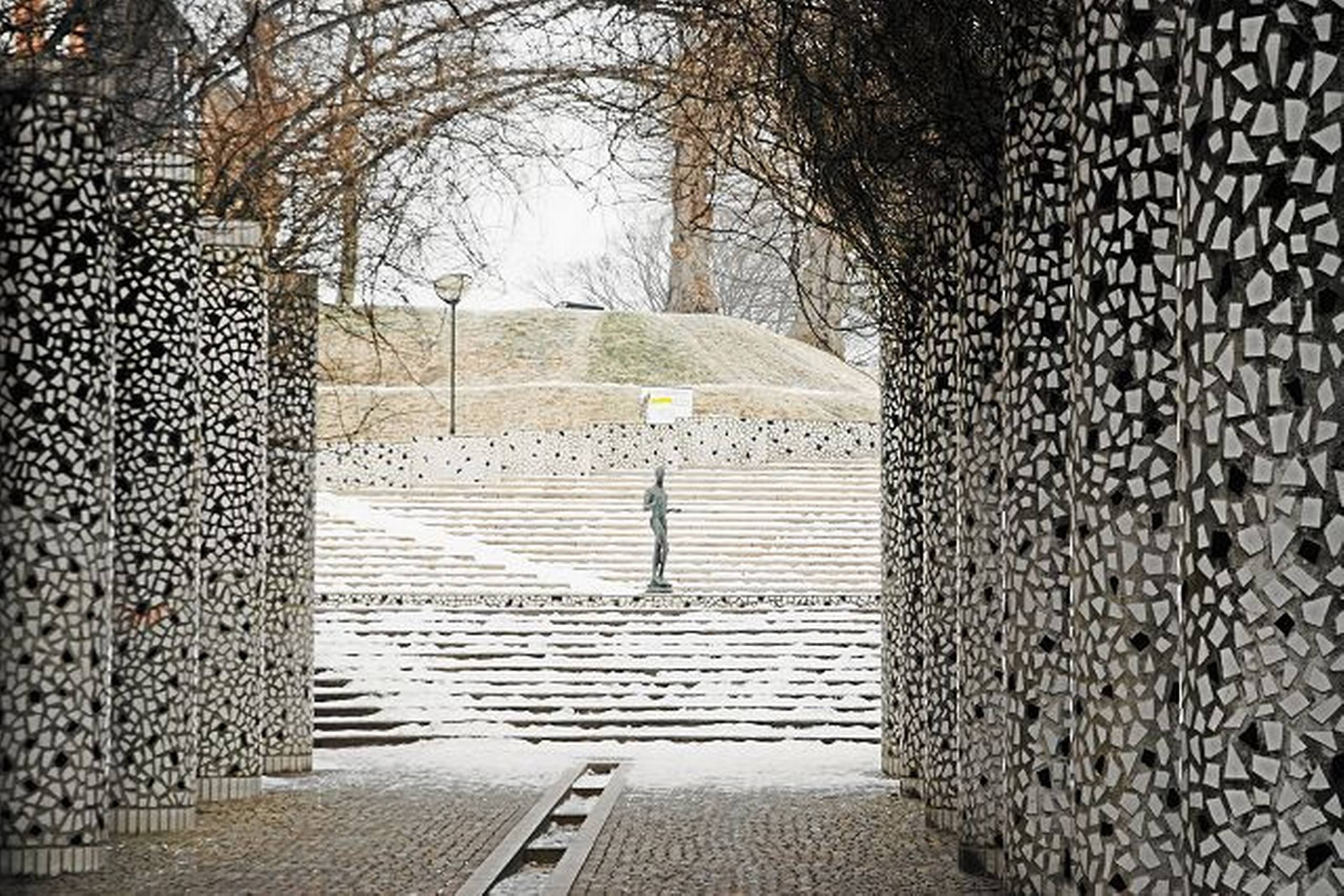 Et skulderklap til Abessinieren kan gøre dig lykkelig - Din Avis