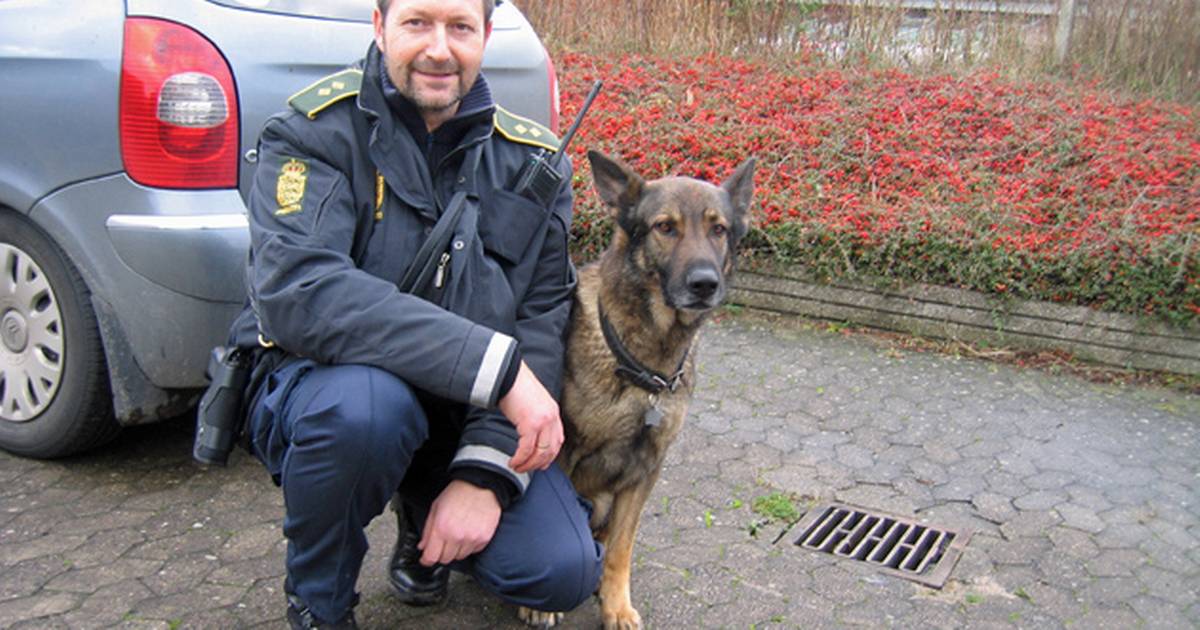 Sheriffen besøger husmødrene - Din Avis