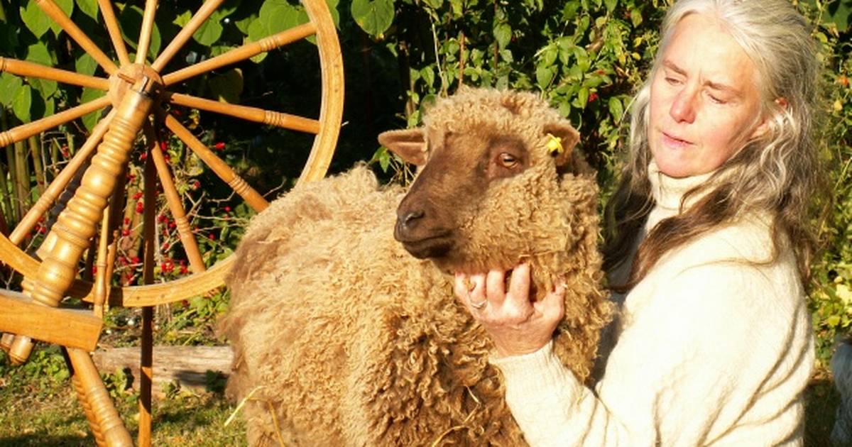 Påskeferie på Køge Museum - Din Avis