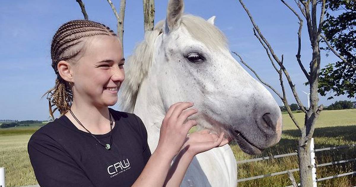 Heste kan holde på hemmeligheder - Din Avis