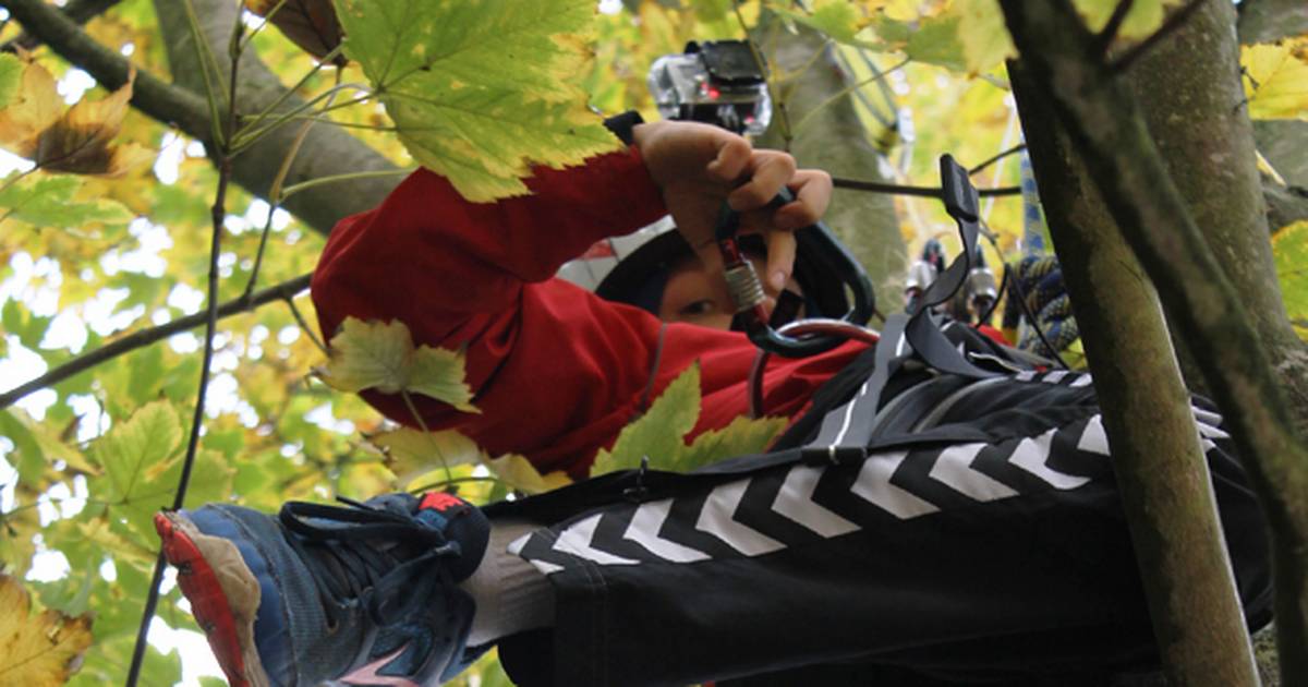 Mega-godt multirace i Højbjerg - Din Avis