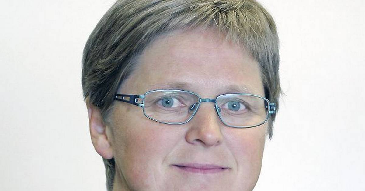 Erhvervsakademi Dania med to nye undervisere - Din Avis