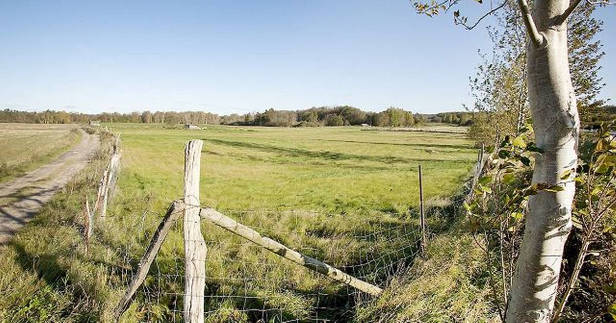 Hillerød skal spare sammen til ny bydel - Din Avis