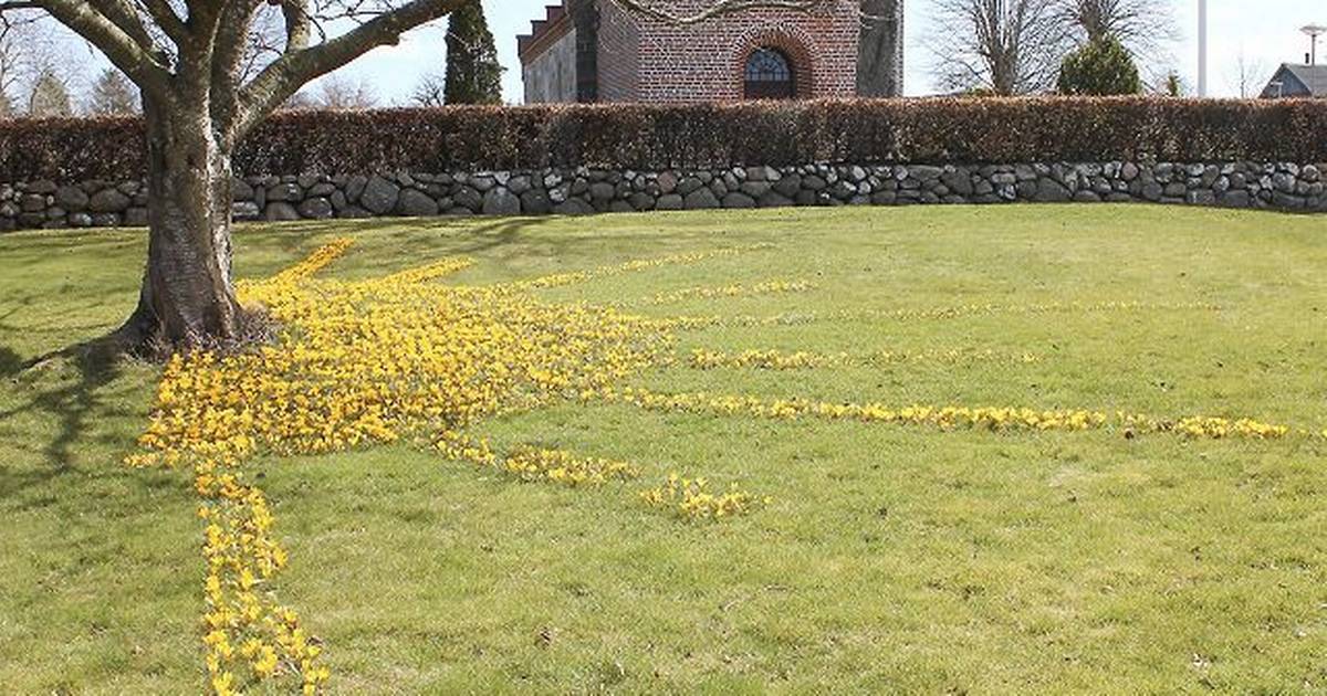 Sol i Sall - selv i overskyet vejr - Din Avis