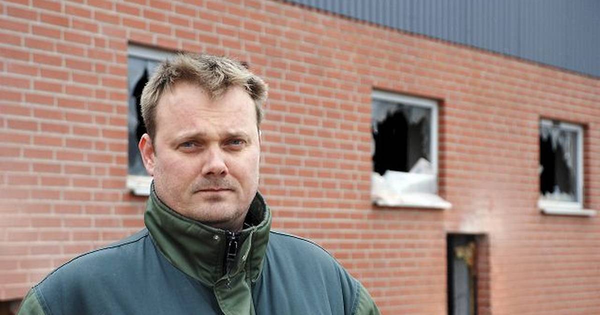 Svineavler stod magtesløs og så sine smågrise dø - Din Avis