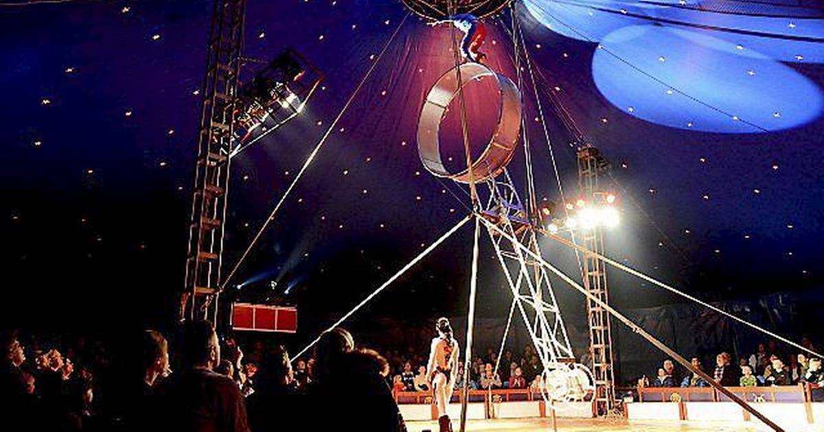 Festival giver cirkus-gave til byens børn Festival giver cirkus-gave til byens børn