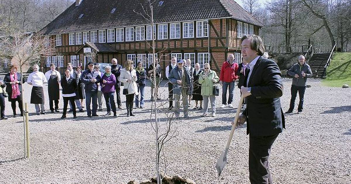 Blodbøg og citronfromage - Din Avis