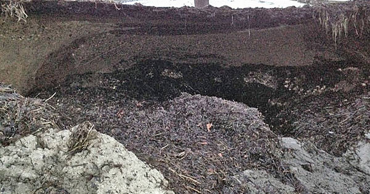 Strandvejen undermineret af Bodil - Din Avis