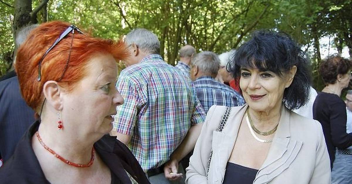 Hjerneskadede fik rullesti - Din Avis