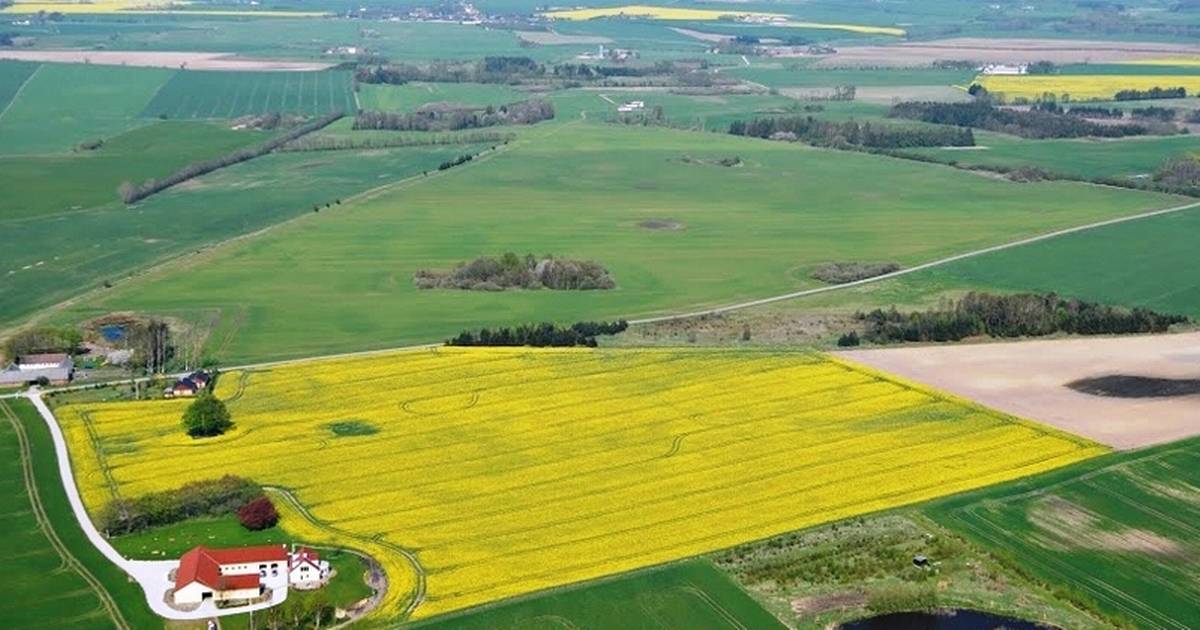 Protester mod solcelleanlæg - Din Avis