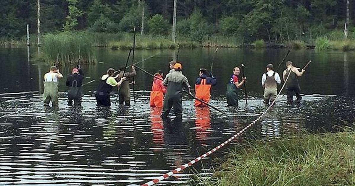 Ulrich er stadig ikke fundet - Din Avis