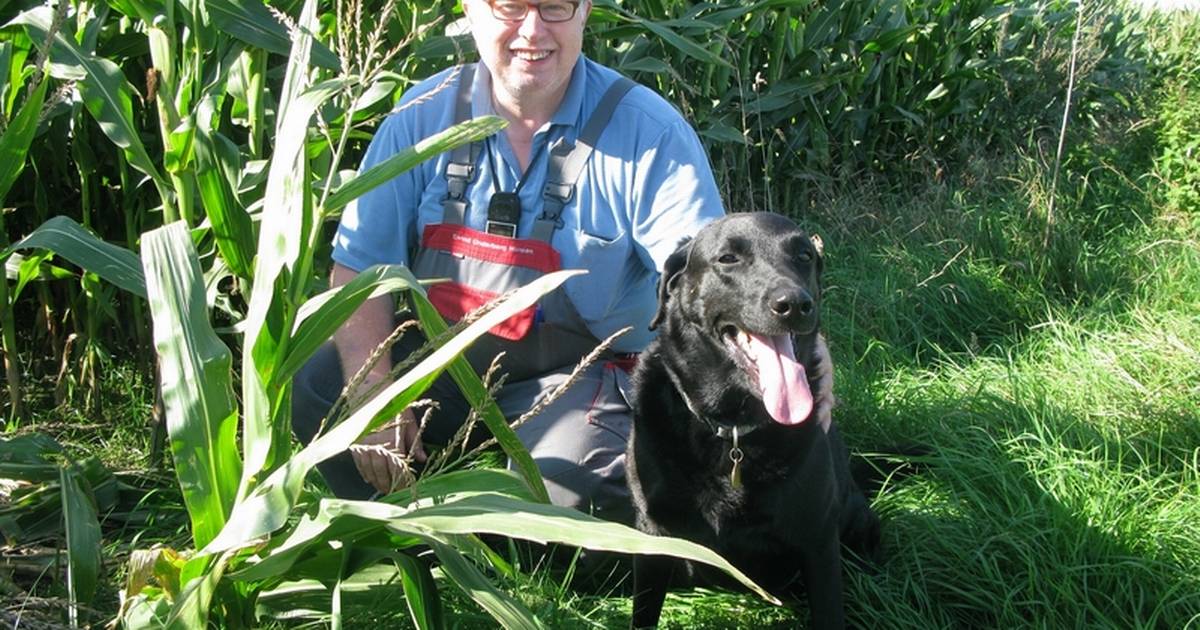 Trunte næse gjorde Eivinds ører godt - Din Avis