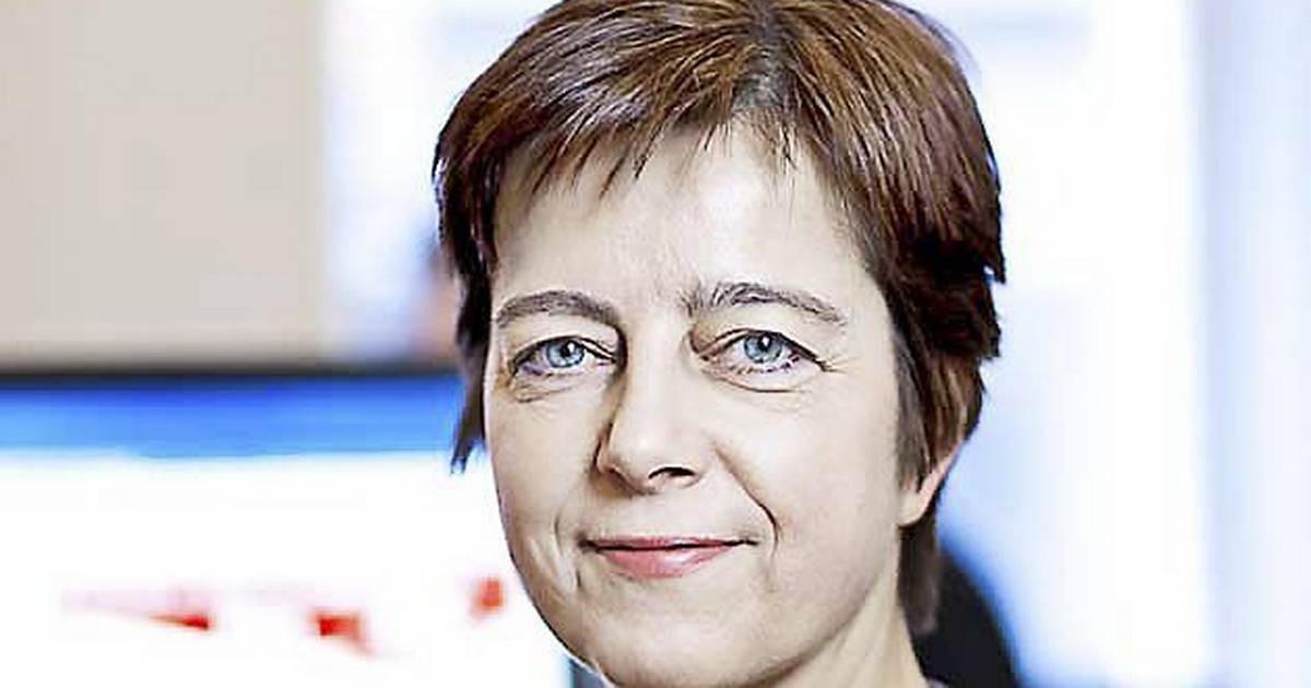 Her er Danmarks hurtigst sælgende vej - Din Avis