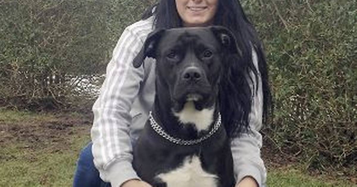 Loven er for stram - Din Avis