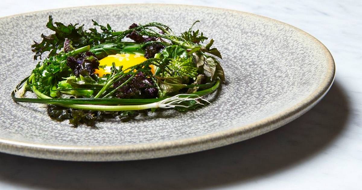 Tv-kokken Thomas Rode bliver mentor - Din Avis